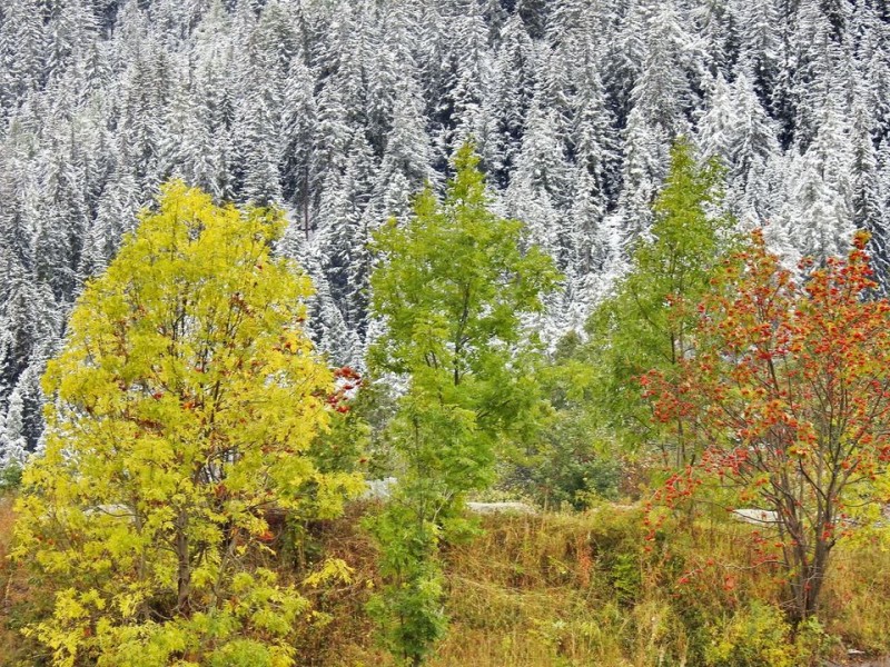 Alpen - Extreme verschillen weekend weer. Lokaal meer dan 400mm ...
