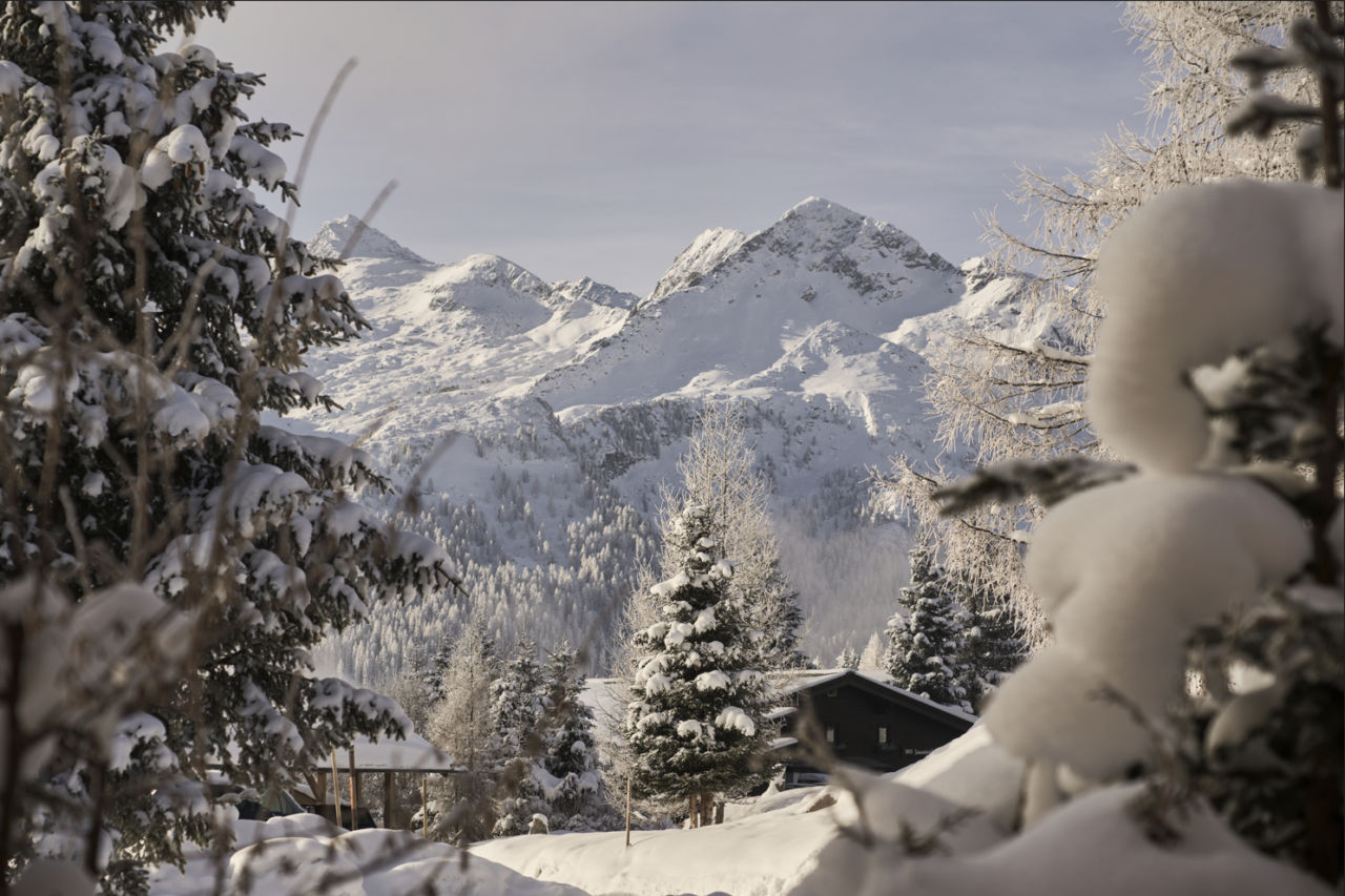 Alpen | Onstuimig met veel sneeuwval - Alpenweerman