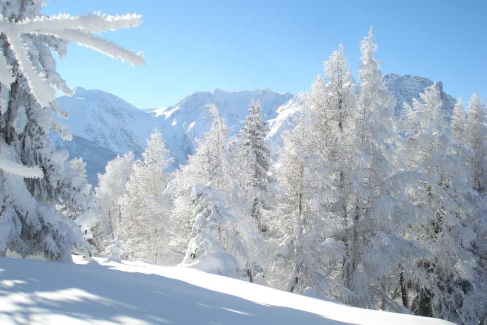 Weerkaarten Europa - Alpenweerman